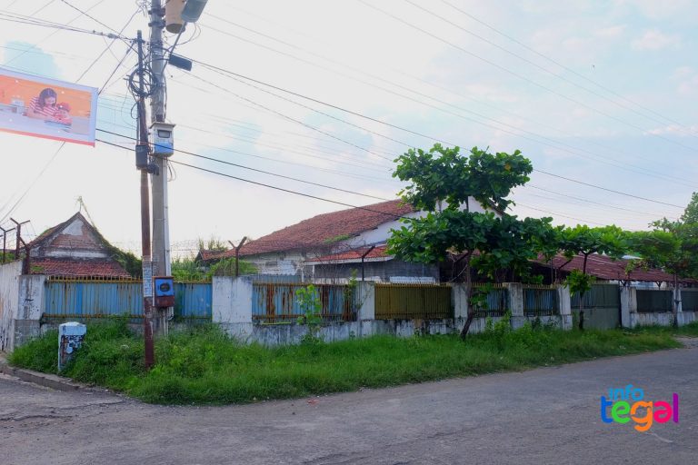 Sejarah teh poci di Tegal | infotegal